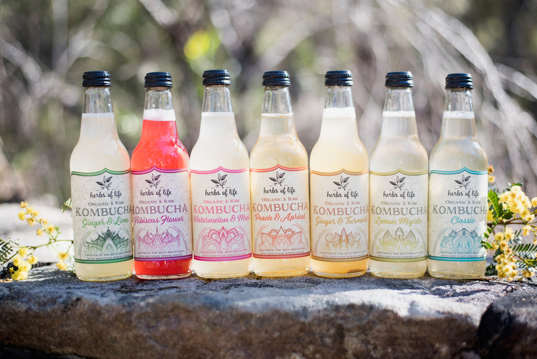 Kombucha – herbs of life shop